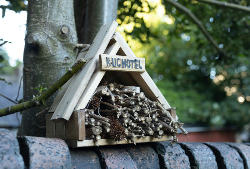 Engaging Minibeast Activities for EYFS – Early Years Learning Ideas