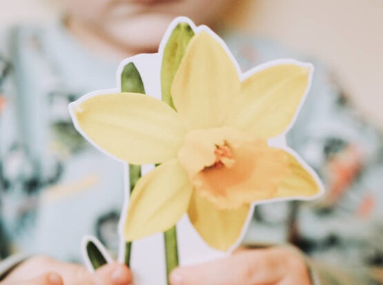 St. David’s Day Activities for EYFS – Fun Early Years Learning Ideas
