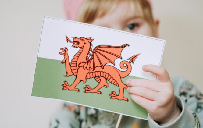 St. David’s Day Activities for EYFS – Fun Early Years Learning Ideas